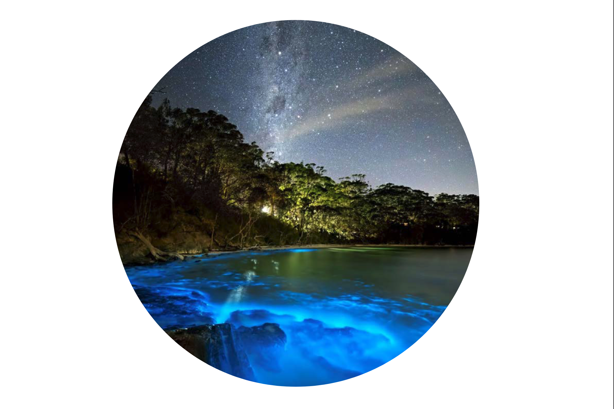 Home 2024 - The PLAN-B European Project