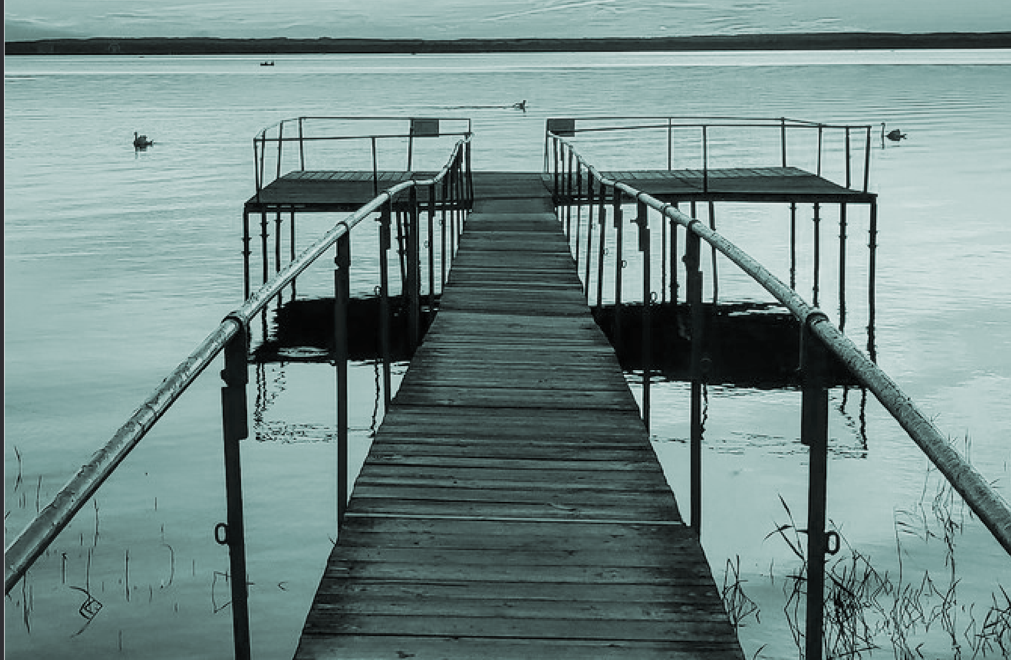 home 2025 - The PLAN-B European Project